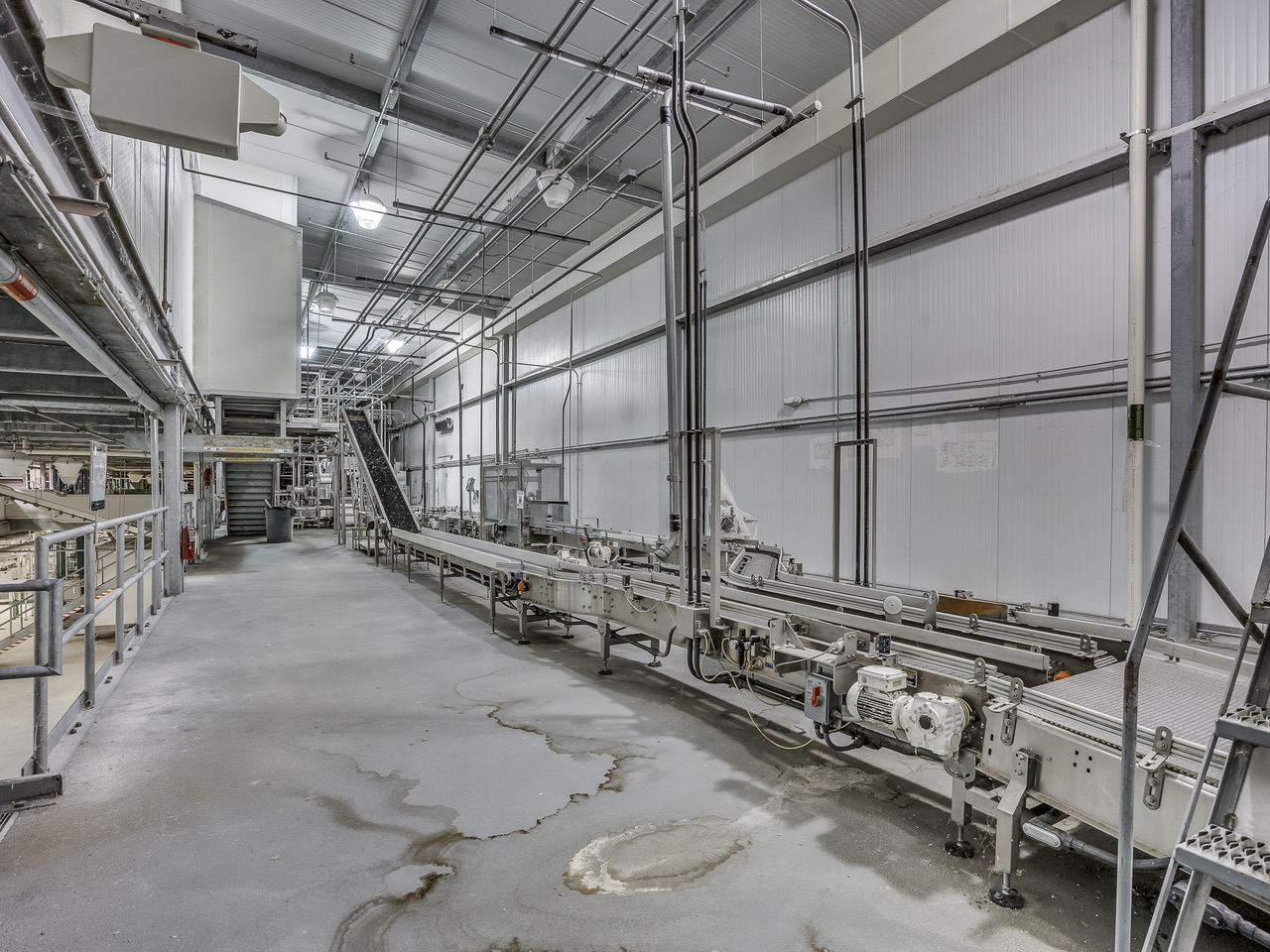 Fully Equipped Frozen Dough Production Plant - New Mill Capital